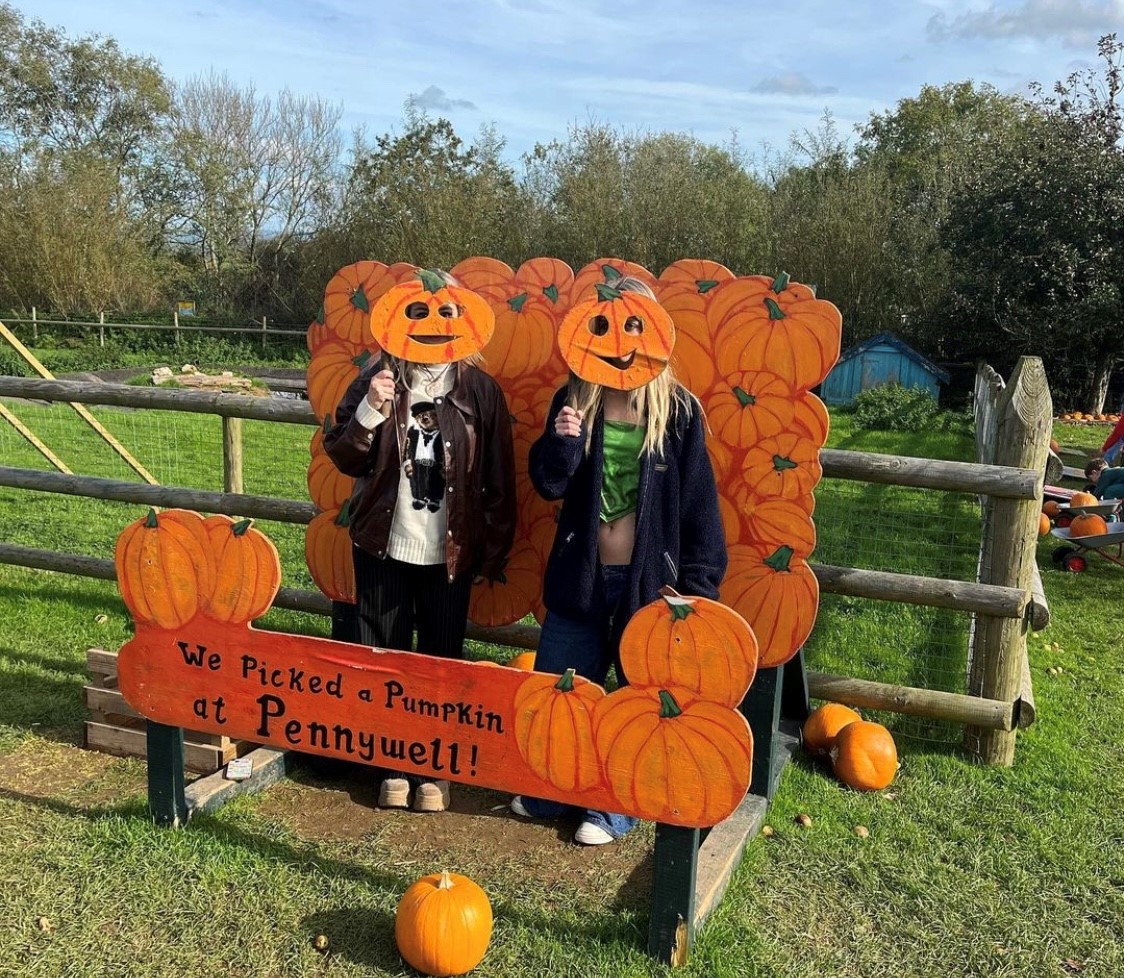 Pumpkin Picking - Pennywell Farm