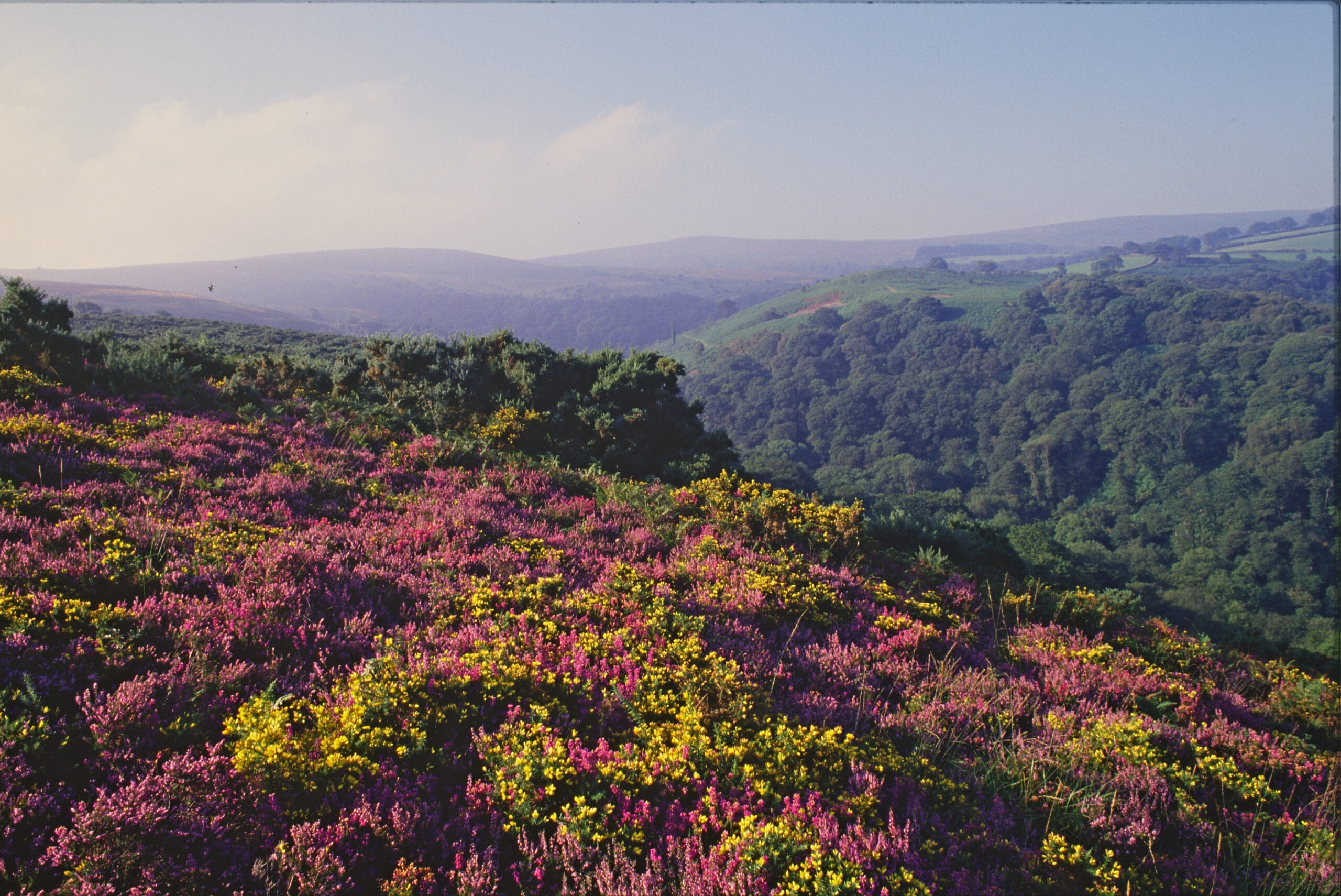 Exmoor National Park's 70th Anniversary - Exeposé Online