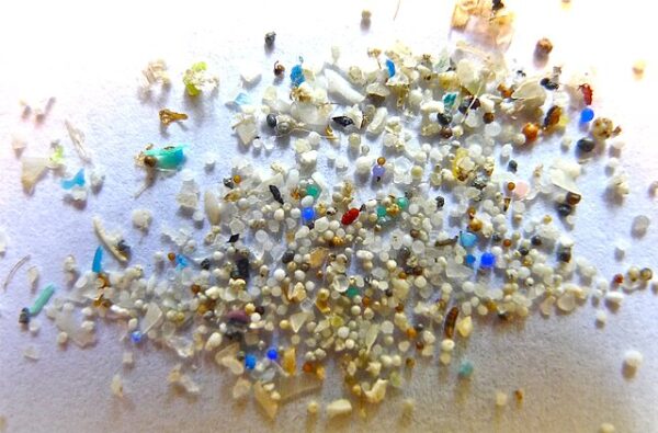 Microplastic Mayhem: how these tiny fragments impact our health ...